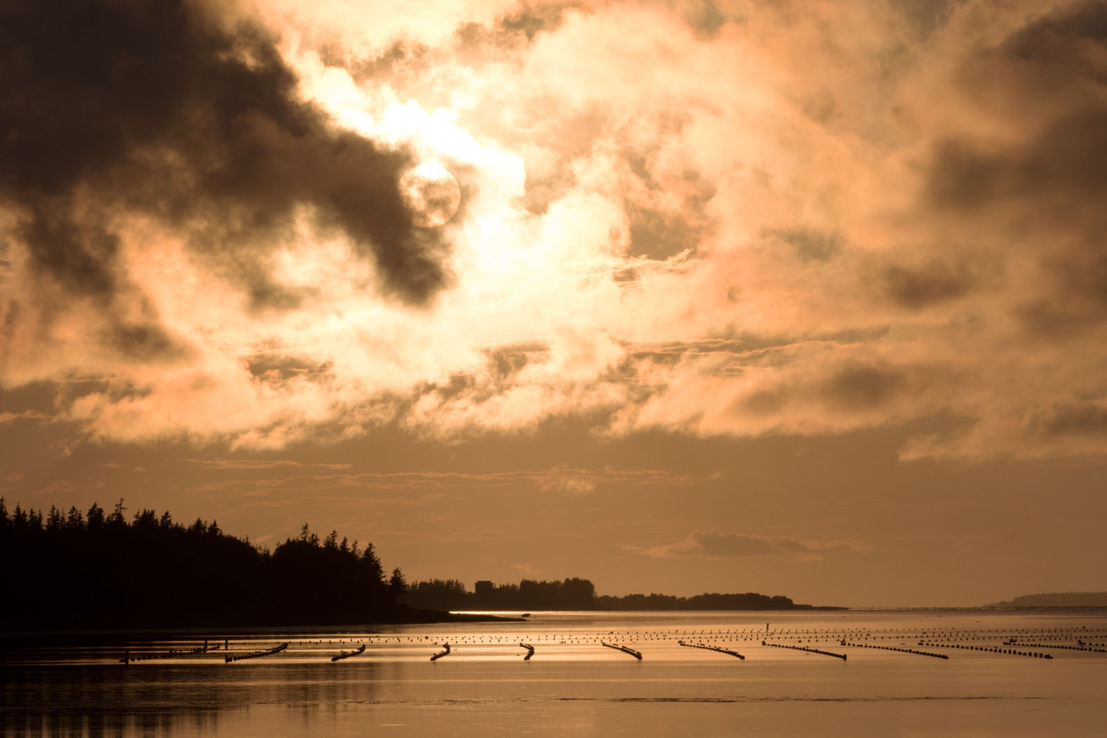Tignish - Global Bridge Immigration Advisors PEI